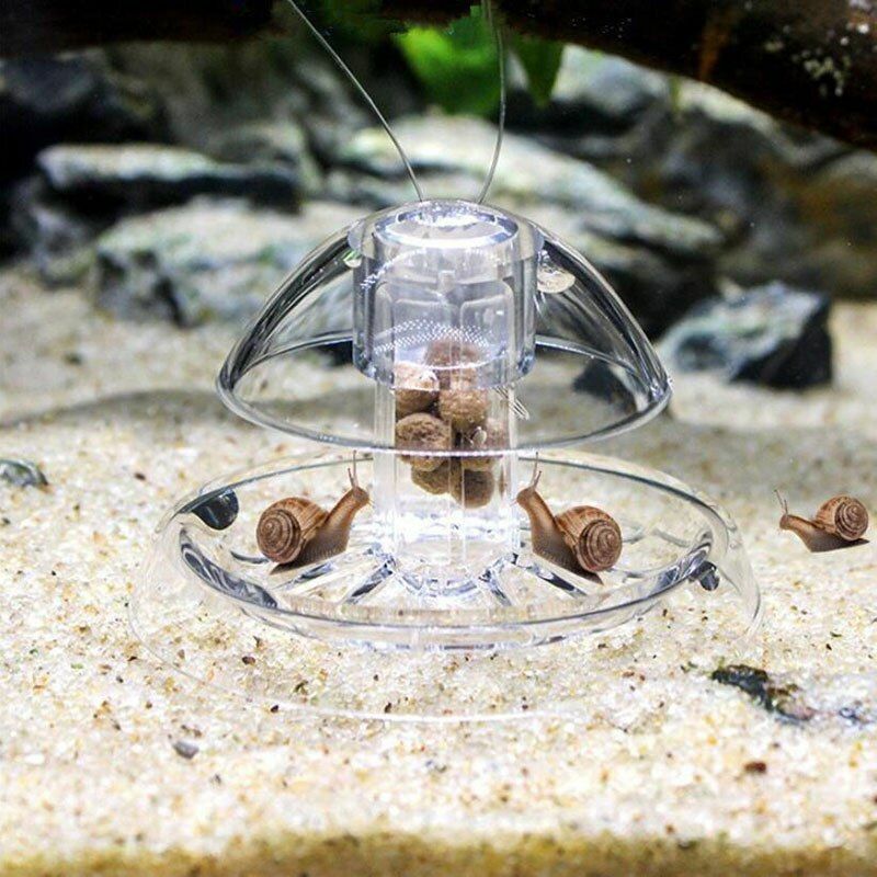 Snail Leech Trap For Aquarium 1 Piece Clear Snail Trap - Plastic ...