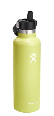 Hydro Flask Hydration 21oz (621ml) Standard Mouse Flex Straw Cactus ...
