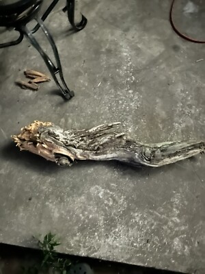 Lighter Knot Log | eBay