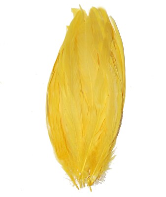 40 Pcs ROOSTER COQUE Feathers 6-10 Inches - YELLOW (Costume/Halloween ...