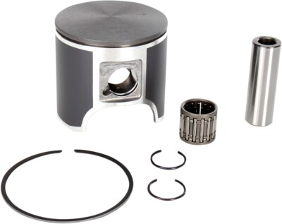 Pro X 01.5699.000 ProX Piston Kit Ski-Doo MXZ600 '99-01 | eBay
