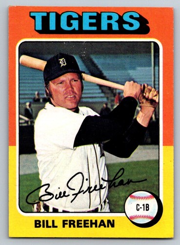Bill Freehan 1975 Topps #397 Detroit Tigers EX | eBay
