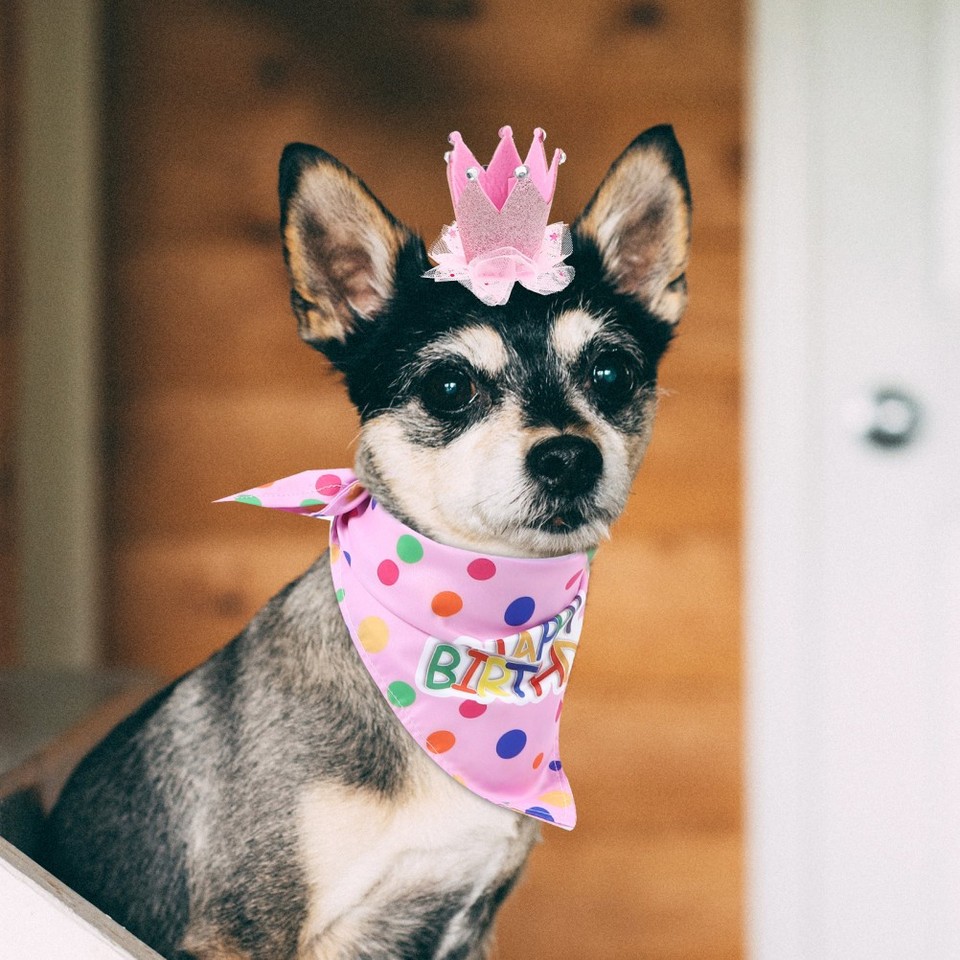 3pcs Pet Headdress Dress Birthday Party Dog Bib Triangle Scarf Pet ...