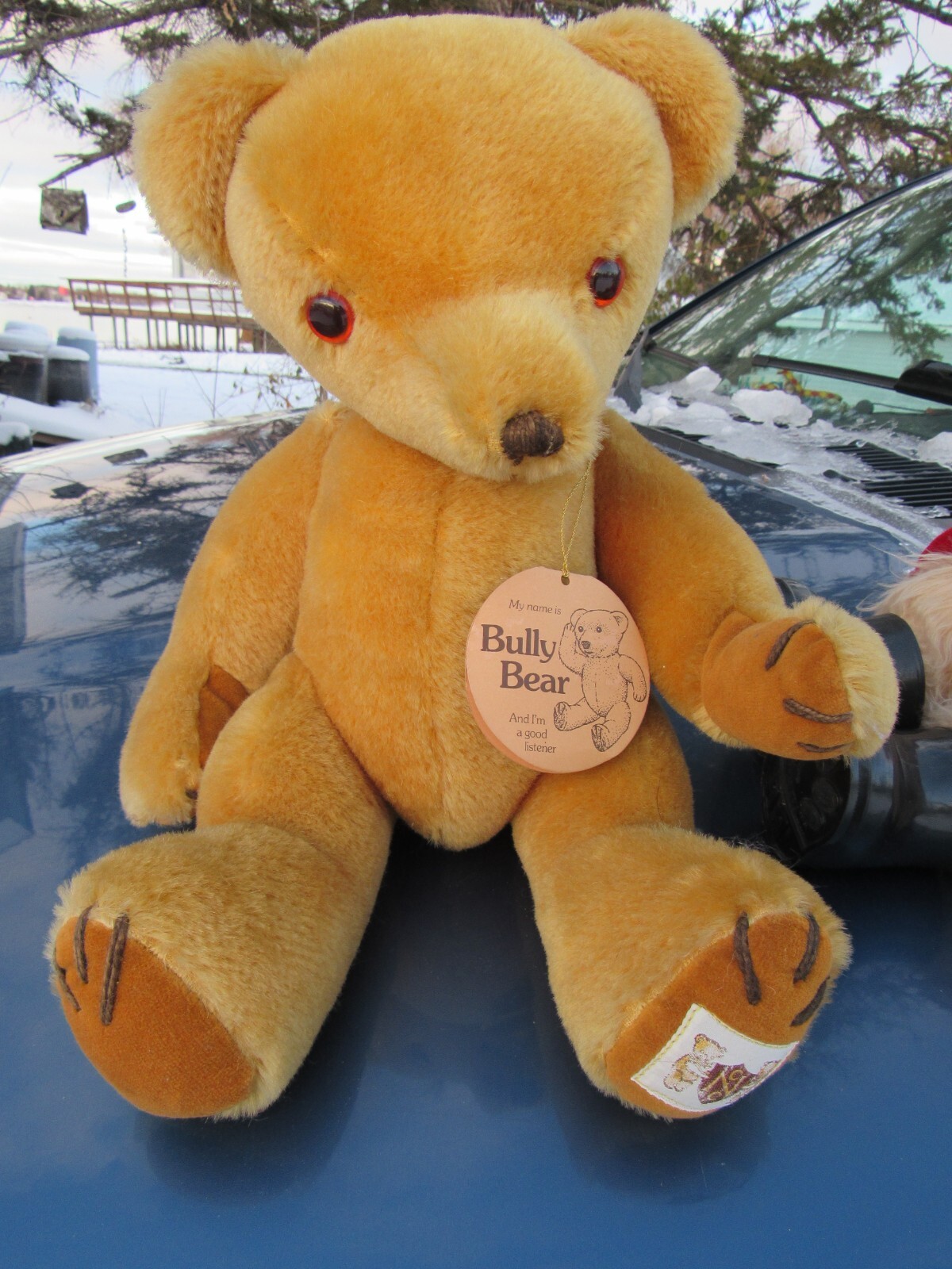 VINTAGE TEDDY BEAR 17'' MOHAIR BULLY HOUSE OF NISBET PETER BULL RARE ...