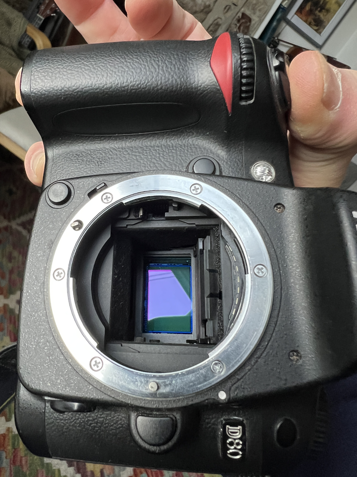 NIKON D80 (Body Only) | 10.2MP APS-C SENSOR DSLR | eBay UK