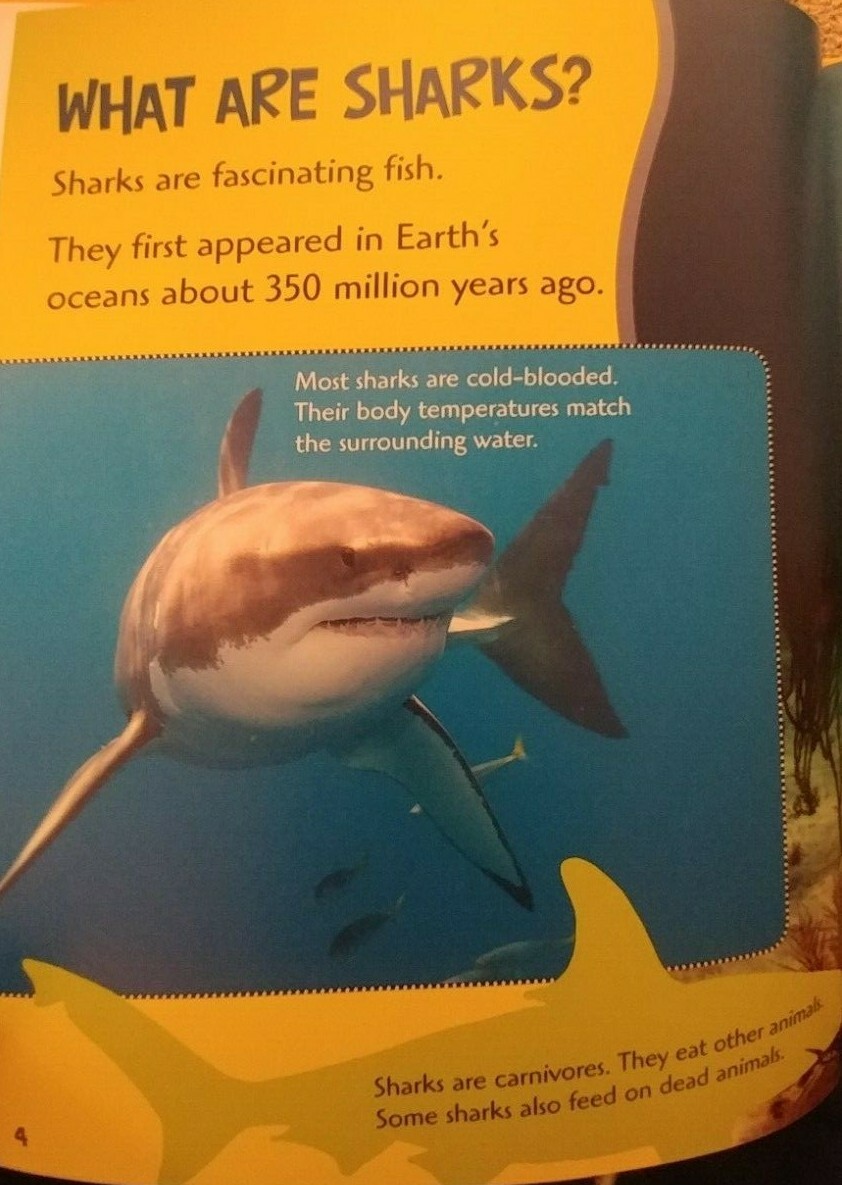 Smithsonian Little Explorer: Sharks by Megan Cooley Peterson (2014 ...