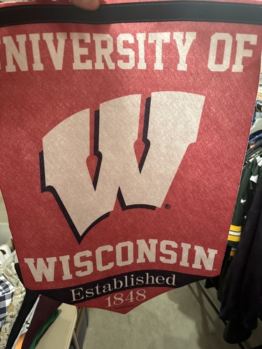 Wisconsin Badgers Felt Flag Pennant Established In 1848 | eBay