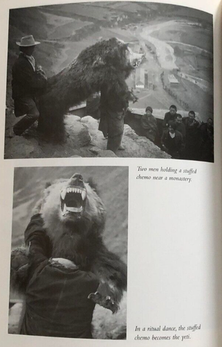 My Quest for the Yeti : Confronting the Himalayas' Deepest Mystery by ...