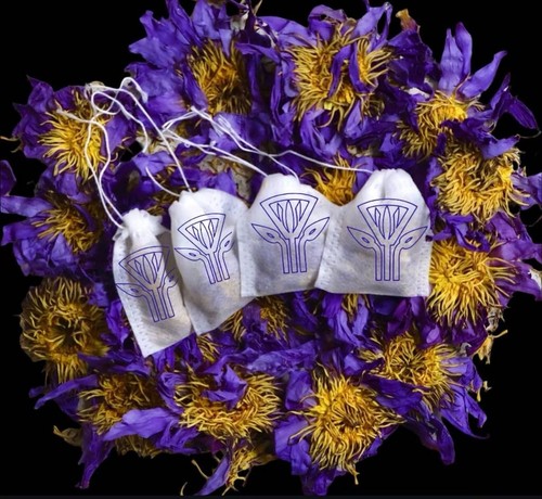 Blue Lotus Tea Bags - Nymphaea Caerulea - Organic Natural Herbal Tea ...