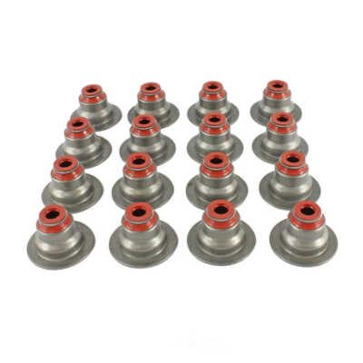 Engine Valve Stem Oil Seal Set-DOHC, Ecotec, 16 Valves DNJ VSS314 | eBay