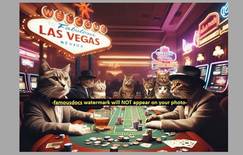 Kitty Cat Casino PHOTO Poker Kitties Las Vegas Cats 5x7 Art Print Funny ...