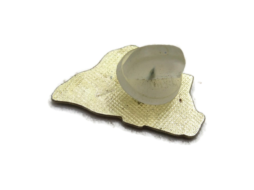 Rhode Island Ocean State Pin Gold Tone | eBay UK