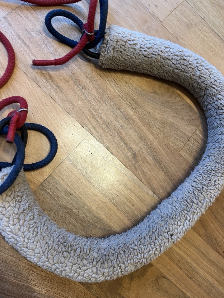 Whitaker Pessoa Training Lunging Aid | eBay UK