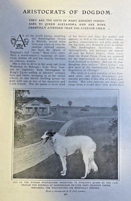 1908 Famous Dogs of Queen Alexandra Russian Wolfhound Fox Terriers ...