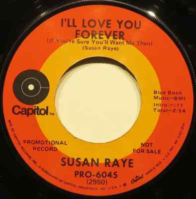 Susan Raye Willy Jones Vinyl Single 7inch Capitol | eBay.de