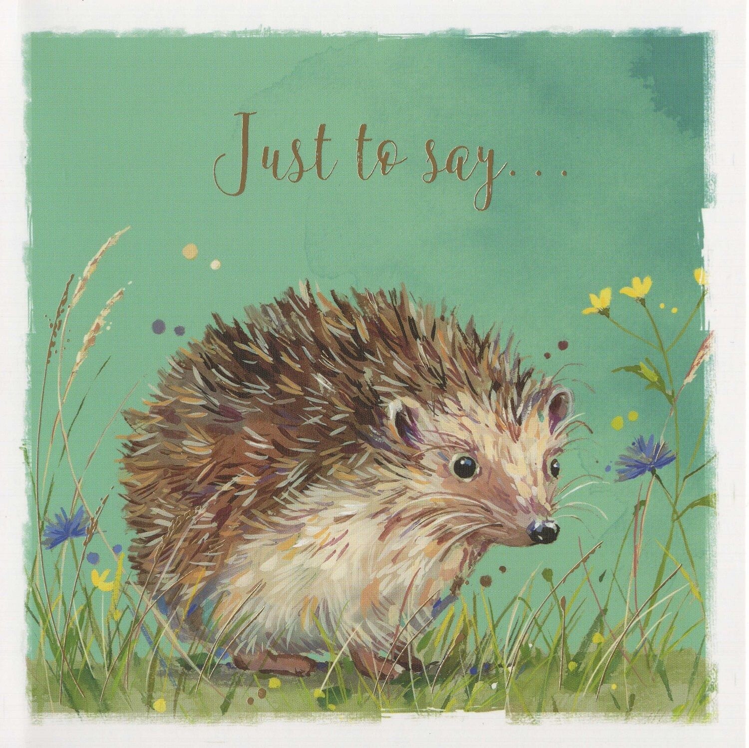 The Wildlife Pack Of 10 Hare & Hedgehog Notecards Blank Greeting Card ...