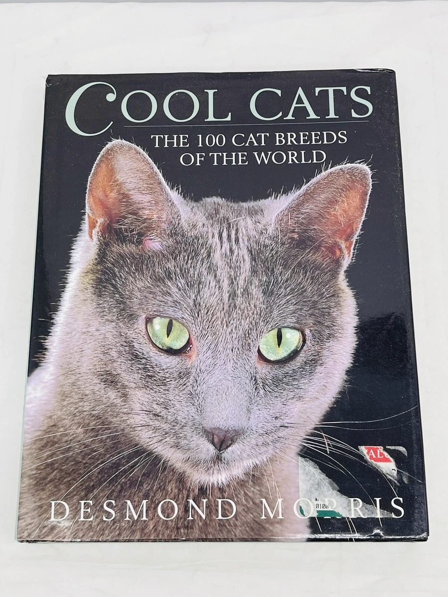 Cool Cat Breeds