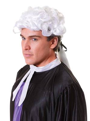 Court Wig. Unisex,Lawyer,Judge,Barrister, Fancy Dress Party Wig ...