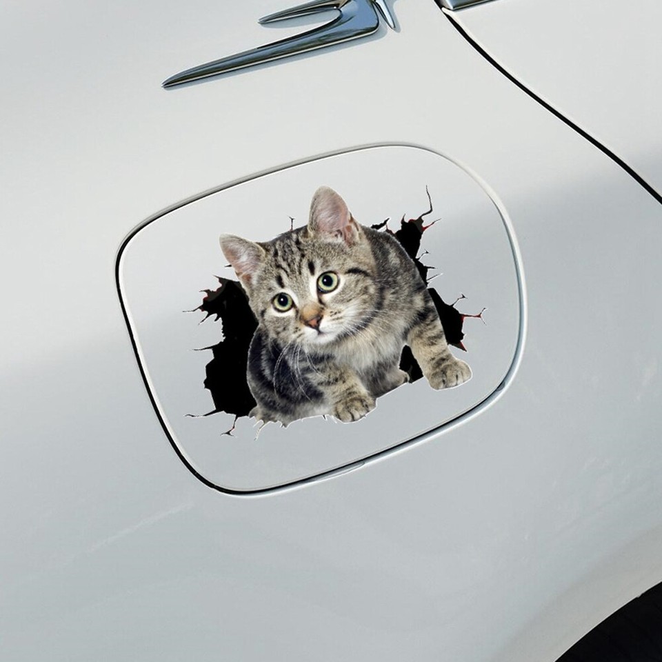 5PCS Car Body Sticker Cat Wall Decals 3D Cute Cat Stickers For Window ...