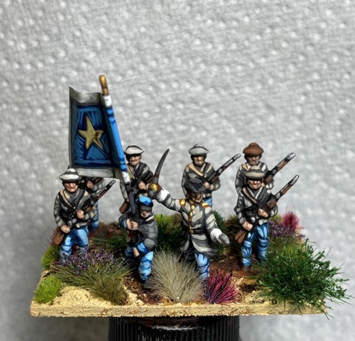 20mm 1/72 well painted ACW American Civil War Confederate Regiment ...