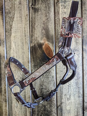 Silver Show Halter - Dark Oil - Silver & Copper Accents - Horse Size ...