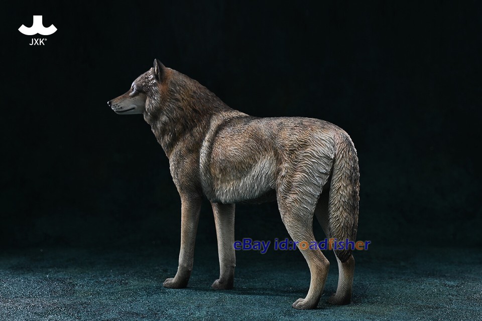 JXK 1/6 Arctic Wolf Model Canis Lupus Arctos Figure Wild Animal Decor ...