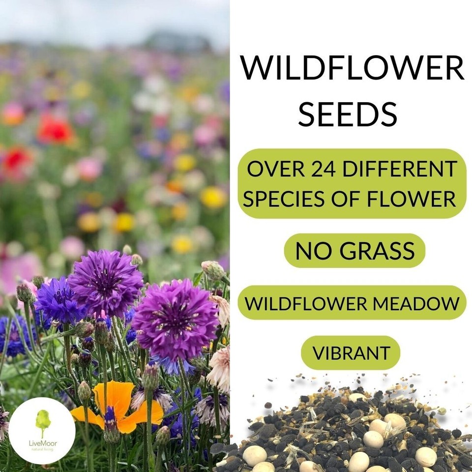 Wild Flower Wildflower Seeds - Bee & Butterfly Mix - Great Colours ...