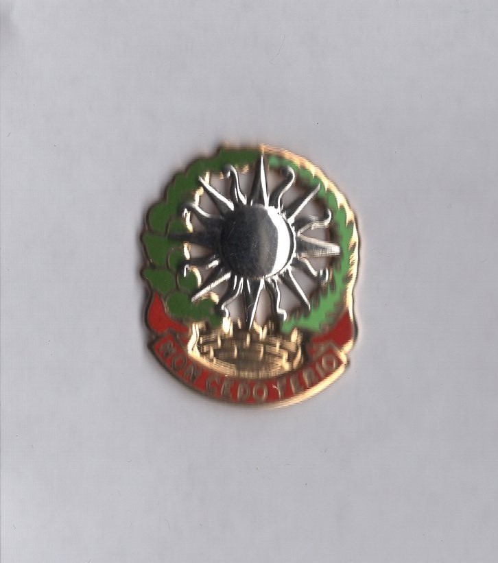 US Army 3rd Air Defense Artillery Bn ADA crest DUI pin badge G-23 | eBay