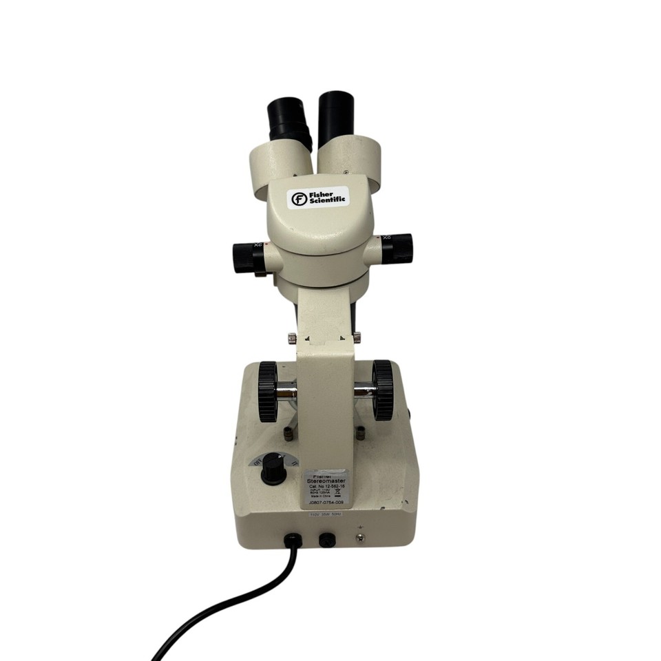 Fisher Scientific Stereomaster Stereo Microscope 10x WF Eyepieces Dual ...