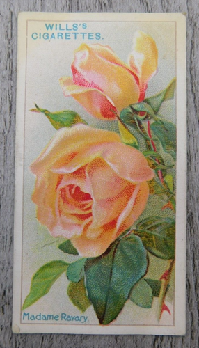 Wills's A Series of Roses Cigarettes Tobacco Trade Card VTG No. 5 ...