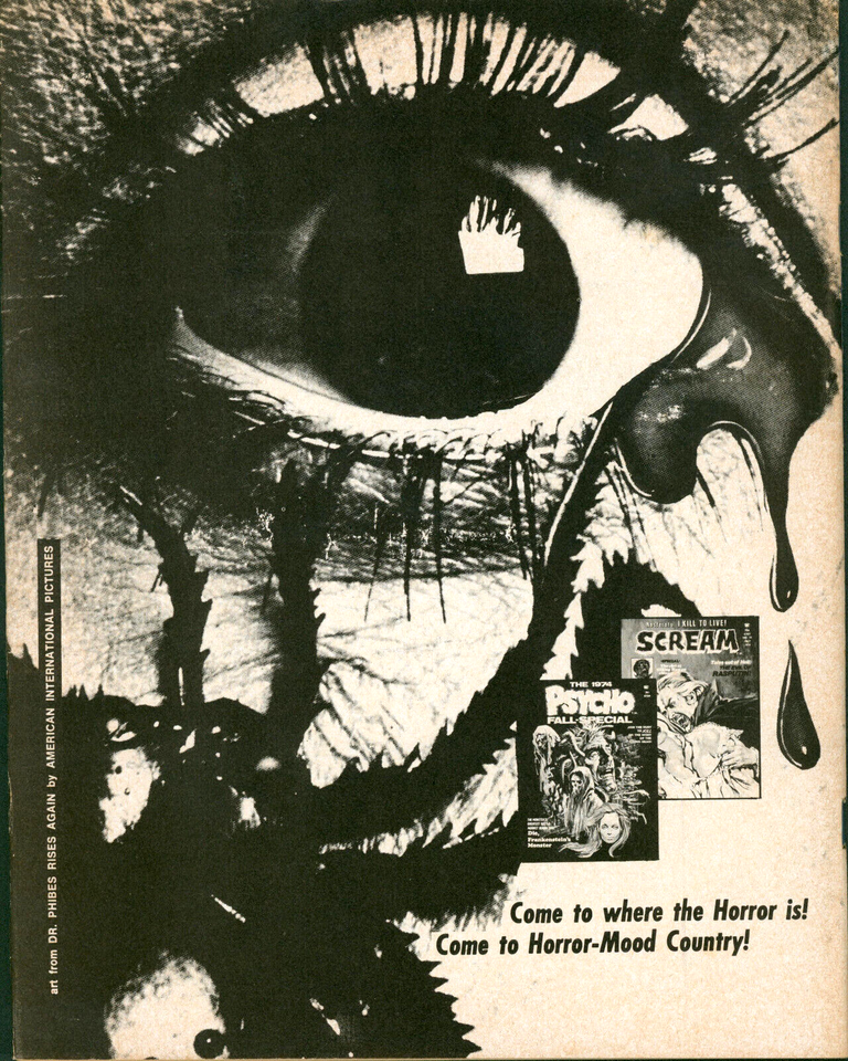 Scream #10 Skywald 1974 FN+ Vintage Horror | eBay