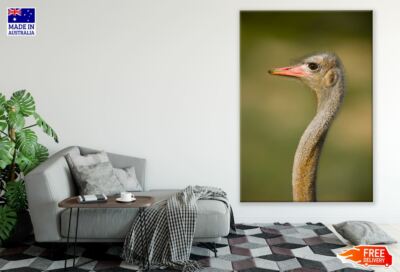 Pasbara Bird Portrait Photograph Wall Canvas Home Decor Australian Made ...