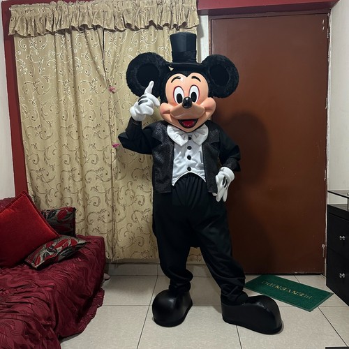 Mickey Mouse 2 Fiberglass head mascot costume party Event botarga ...