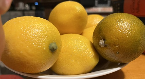 Lot of (10) Artificial Large LEMONS / Realistic Life Sized Faux Fruit ...