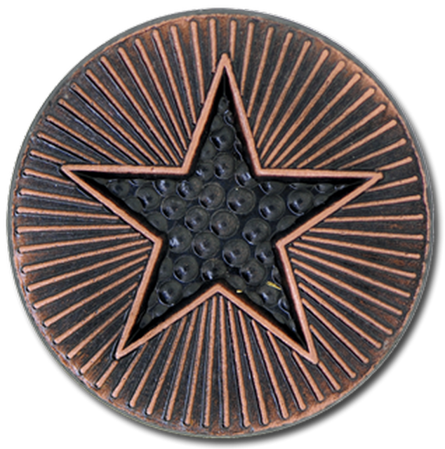 Bronze Star Award Round Pin Badge For Schools | eBay