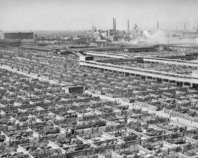 CHICAGO LIVESTOCK STOCKYARDS 1947 8x10 SILVER HALIDE PHOTO PRINT | eBay