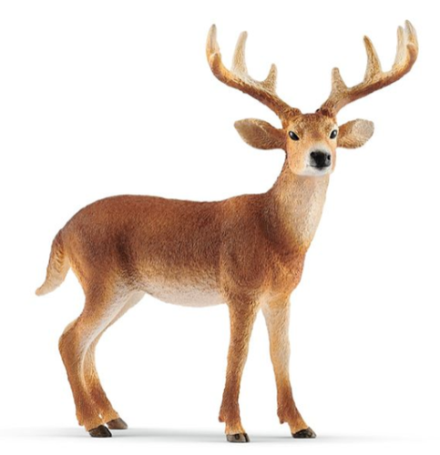 Schleich 14818 Wildlife Animal White-Tailed Buck Toy Figurine | eBay ...