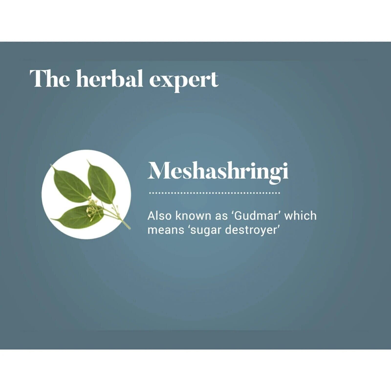 Himalaya Meshashringi Gymnema Sylvestre For Glucose Metabolism 10 BOX ...