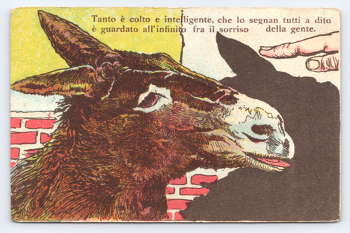 c1920 Illustrated Donkey Italian Comic Postcard Satire Pointing Finger ...