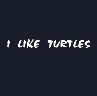I Like Turtles T-shirt Funny Humorous 5 Colors S-3XL | eBay