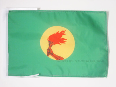 DRAPEAU ZAÏRE 45x30cm - PAVILLON ZAÏROIS 30 x 45 cm haute qualité ...