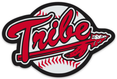 Cleveland Indians Baseball Magnet Tribe & Arrow baseball Die-Cut MAGNET ...