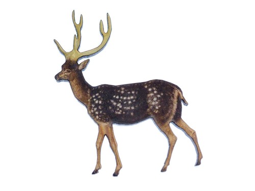 Fallow Deer Roe Printed Brooch Miniblings Pin Wood Animal Deer Hunting ...