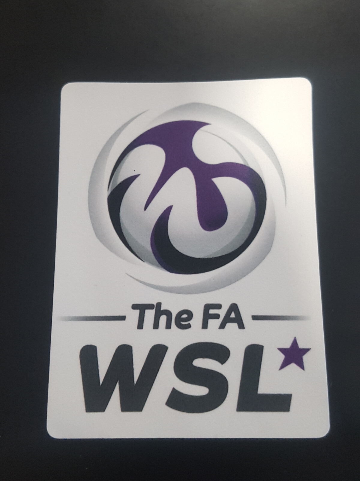 FA Womens Super League Patch WSL 2013-2016 Player Issue | eBay UK