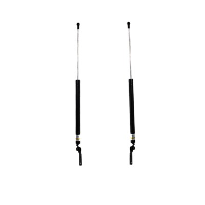 Lesjofors Pair Set of 2 Rear Hatch Lift Support Set for Subaru Forester ...