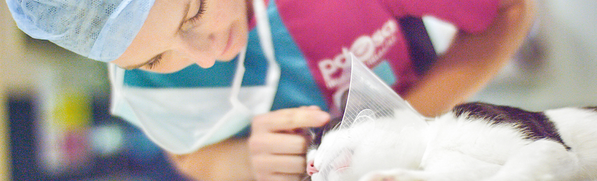 PDSA Charity Shop | eBay Shops