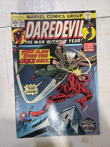 Marvel Comics: Daredevil: The Man Without Fear #116 1974 (Missing 19-20 ...