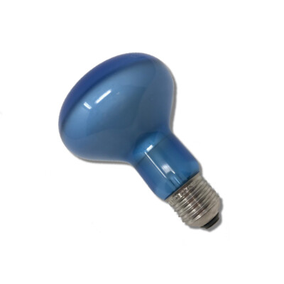 Daylight R80 100w ES Spotlight Bulb | eBay