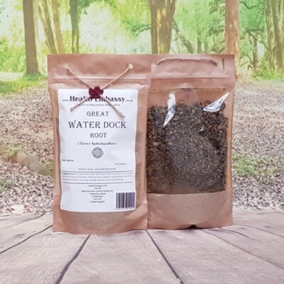 Great Water Dock Root | Rumex Hydrolapathum L | Loose Herbal Tea Health ...