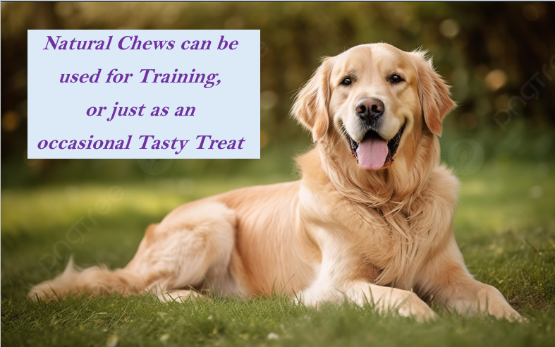 Beef Bull Pizzle Sticks Grade 'A' 100% Natural Chew Dog Treat approx ...